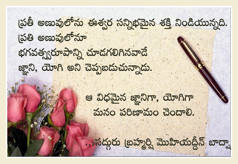 Jnani and Yogi – సద్గురు అమృతవాణి